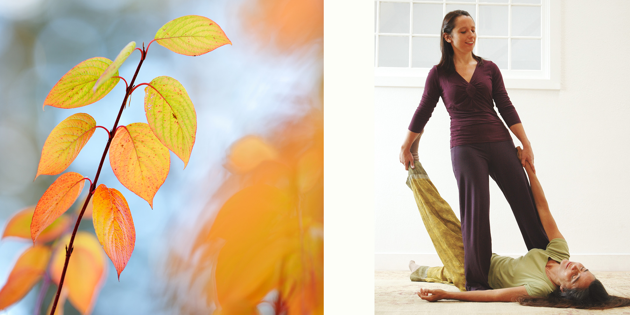 Fall Intensive 2019 | The Breema Center
