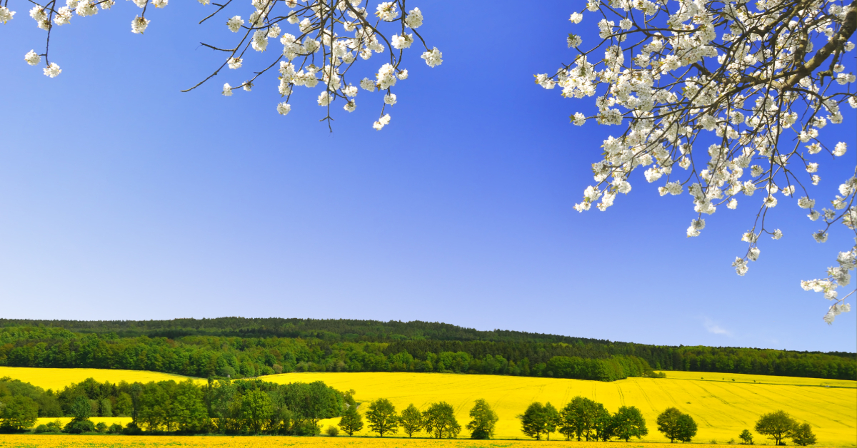 About Breema | The Breema Center