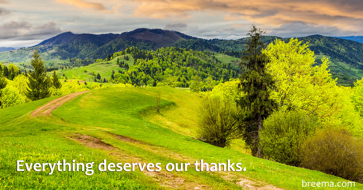 Essence of Breema: 13 November, 2018 | The Breema Center