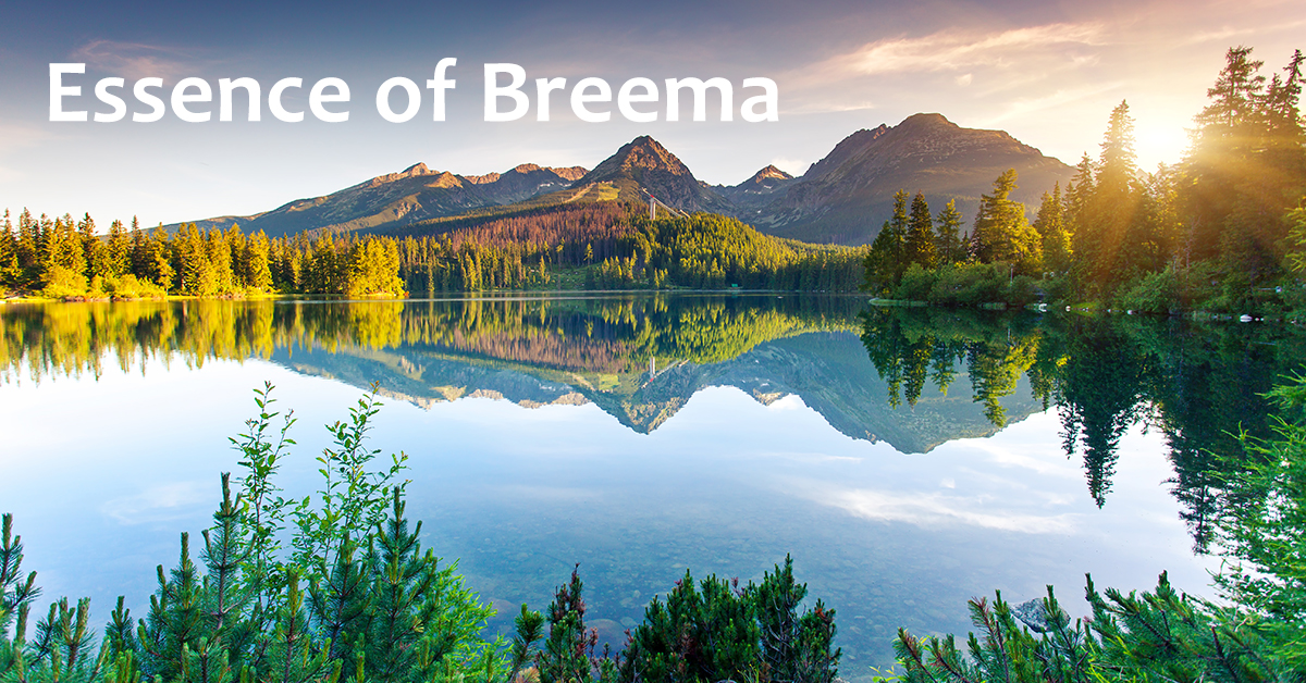 Essence of Breema | The Breema Center