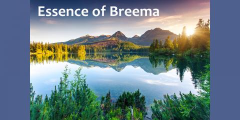 The Breema Center